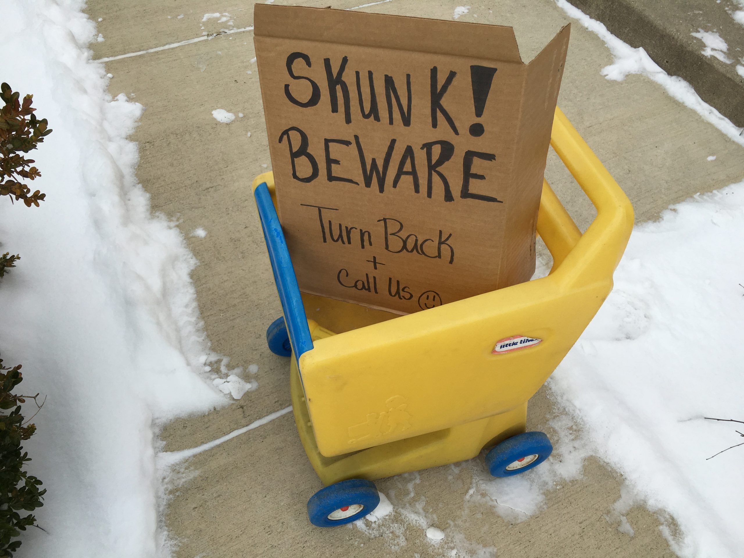 This Stinks! - Jennifer Zelazny