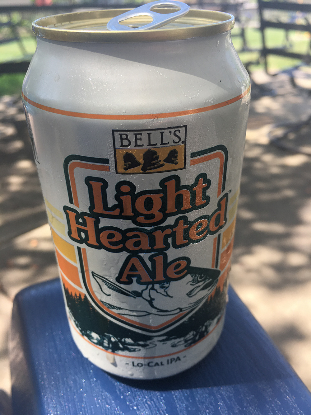 Light Beer That Tastes Great! - Jennifer Zelazny