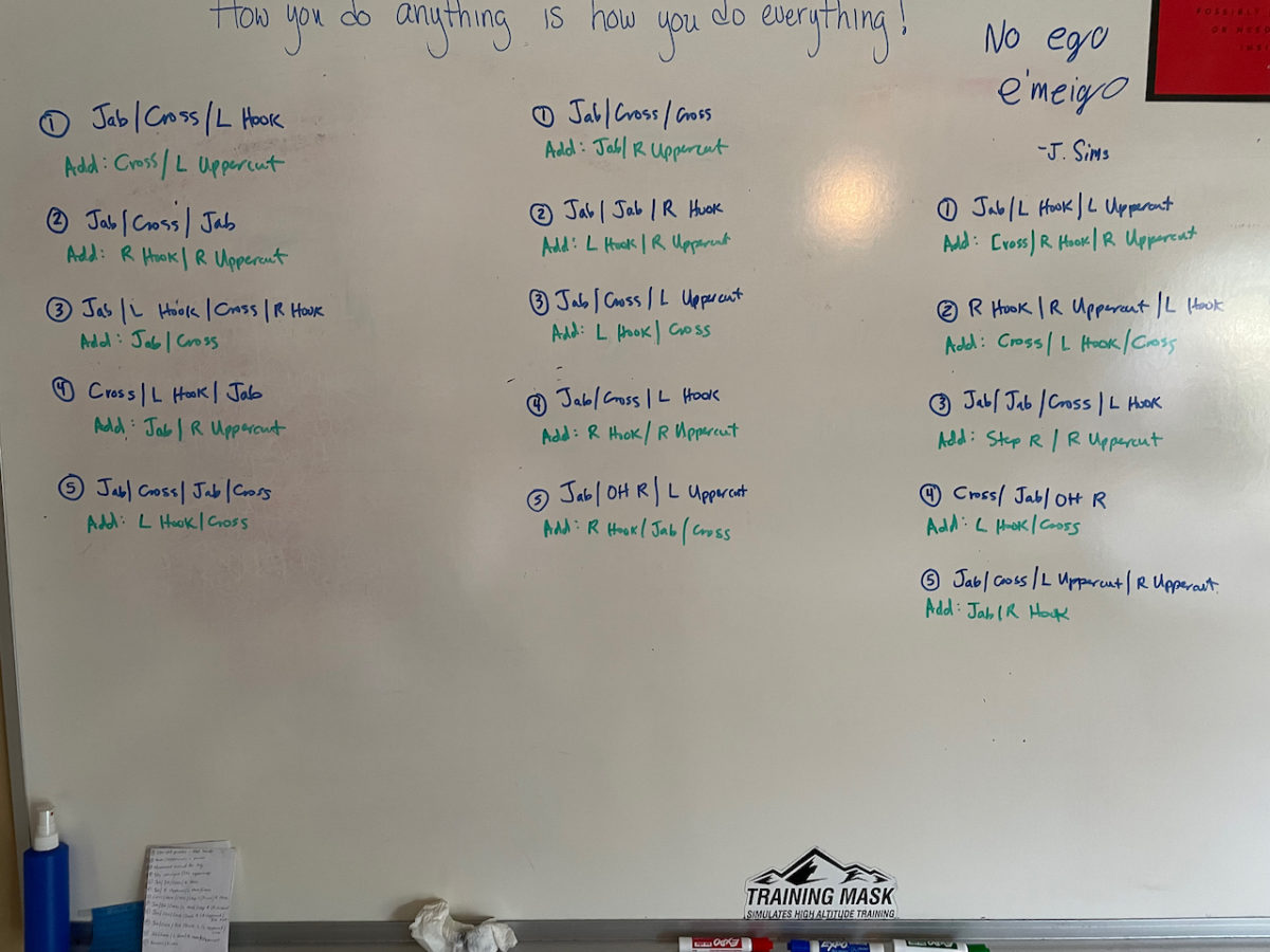 Boxing Workout (Adding On) - Jennifer Zelazny